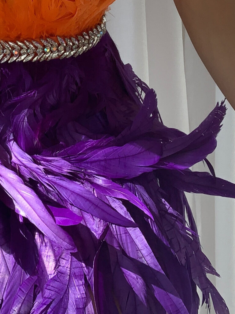 OSCA Feathers Mini Dress - ZCRAVE™ OFFICIAL WEBSITE